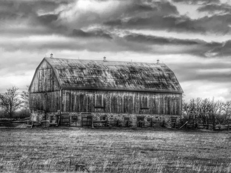 Mormon Dating: The Ultimate Guide To Finding Love